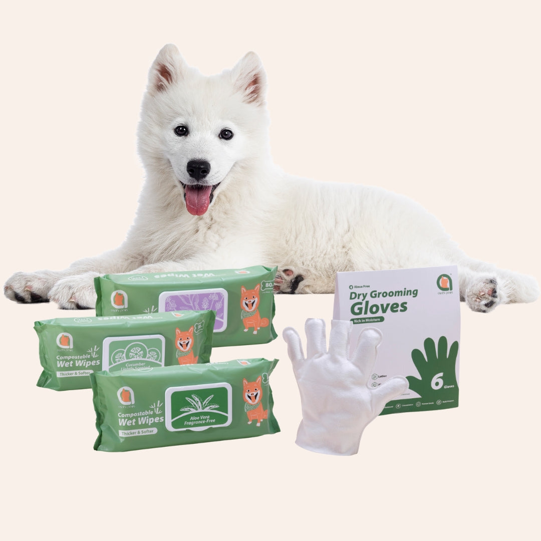 Bundles – Asahi Paws