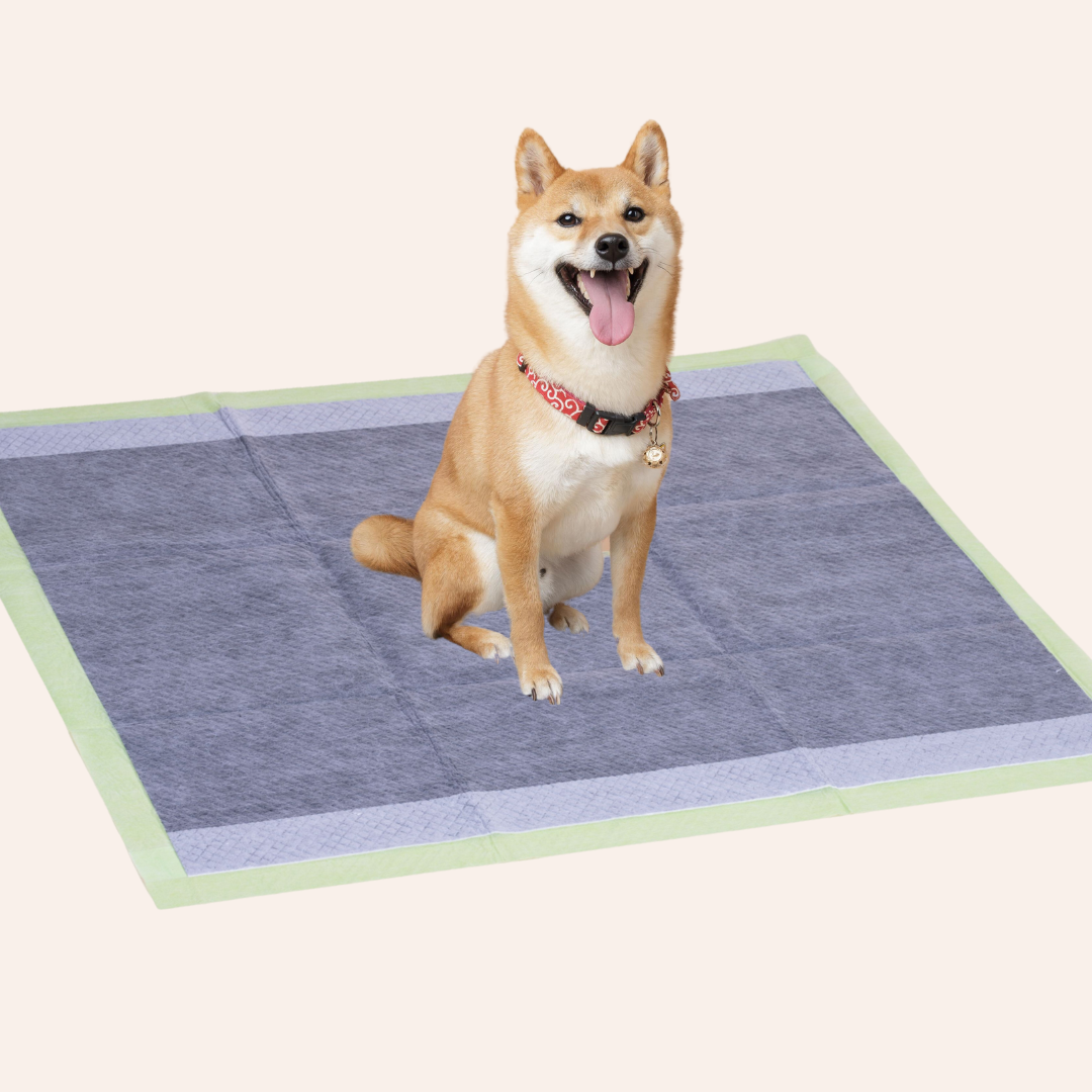 Puppy Pads - Asahi Paws - Greener Pet Care