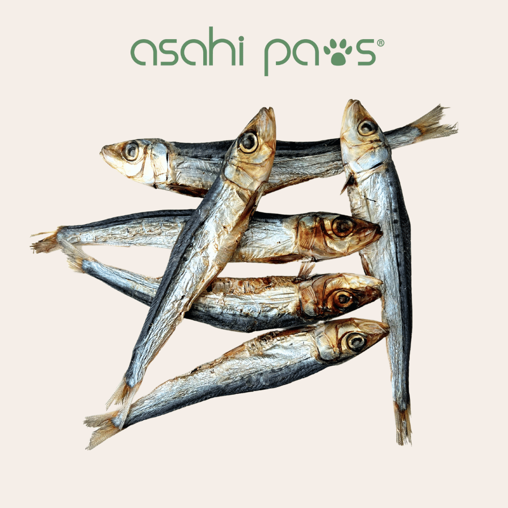 Air-Dried Whole Sardine Treats for Dogs & Cats | 100% Australian ...